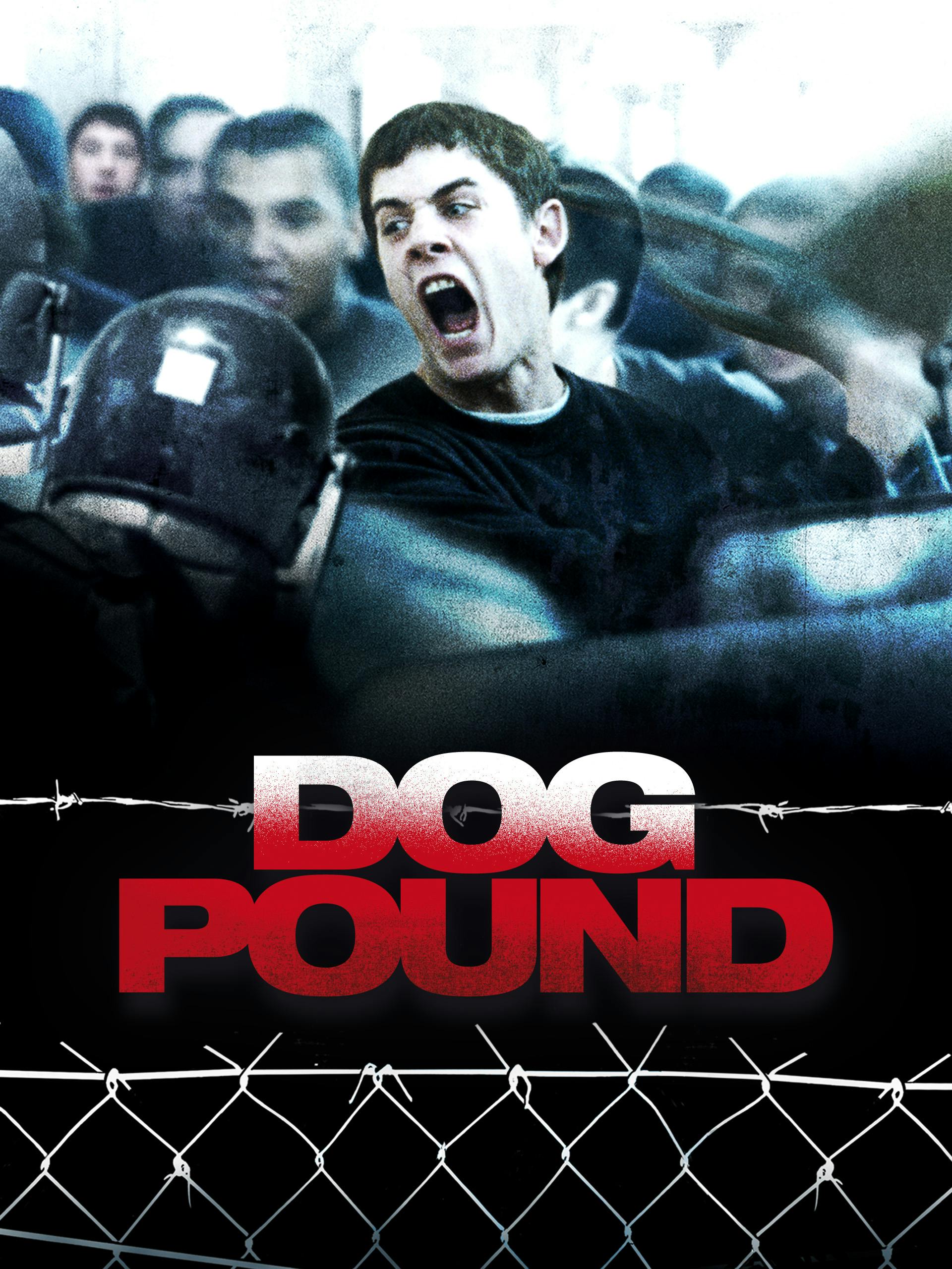 Watch Dog Pound Stream Movies Online Topic watch-dog-pound-stream-movies-online-topic